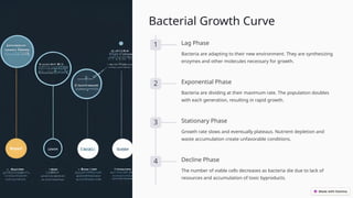 Bacterial- Physiology-Growth- Curve.pptx