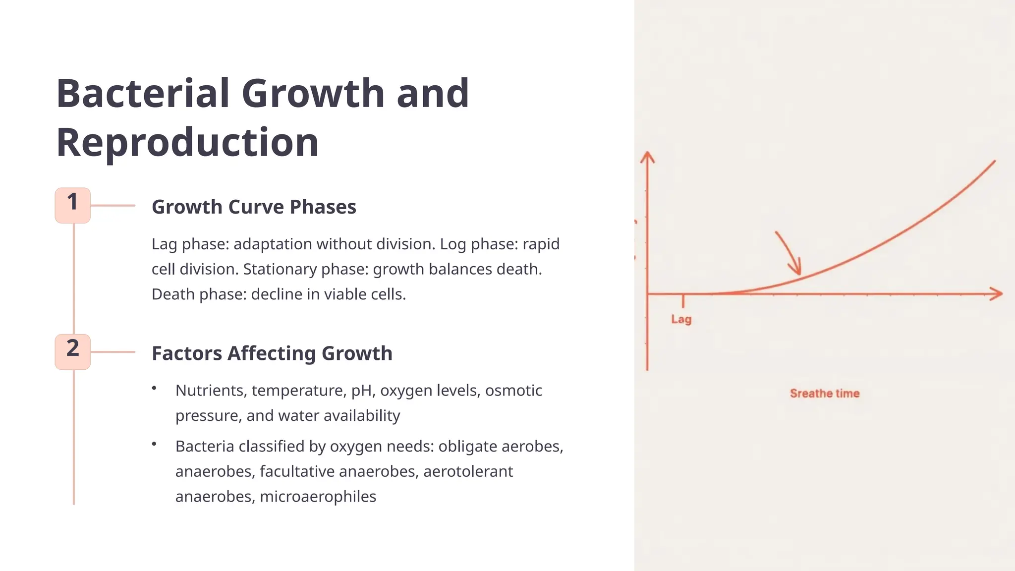 Bacterial-Physiology-Understanding-Life-Processes-of-Bacteria (1).pptx