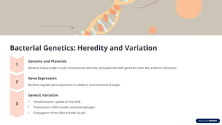 Bacterial-Physiology-Understanding-Life-Processes-of-Bacteria (1).pptx