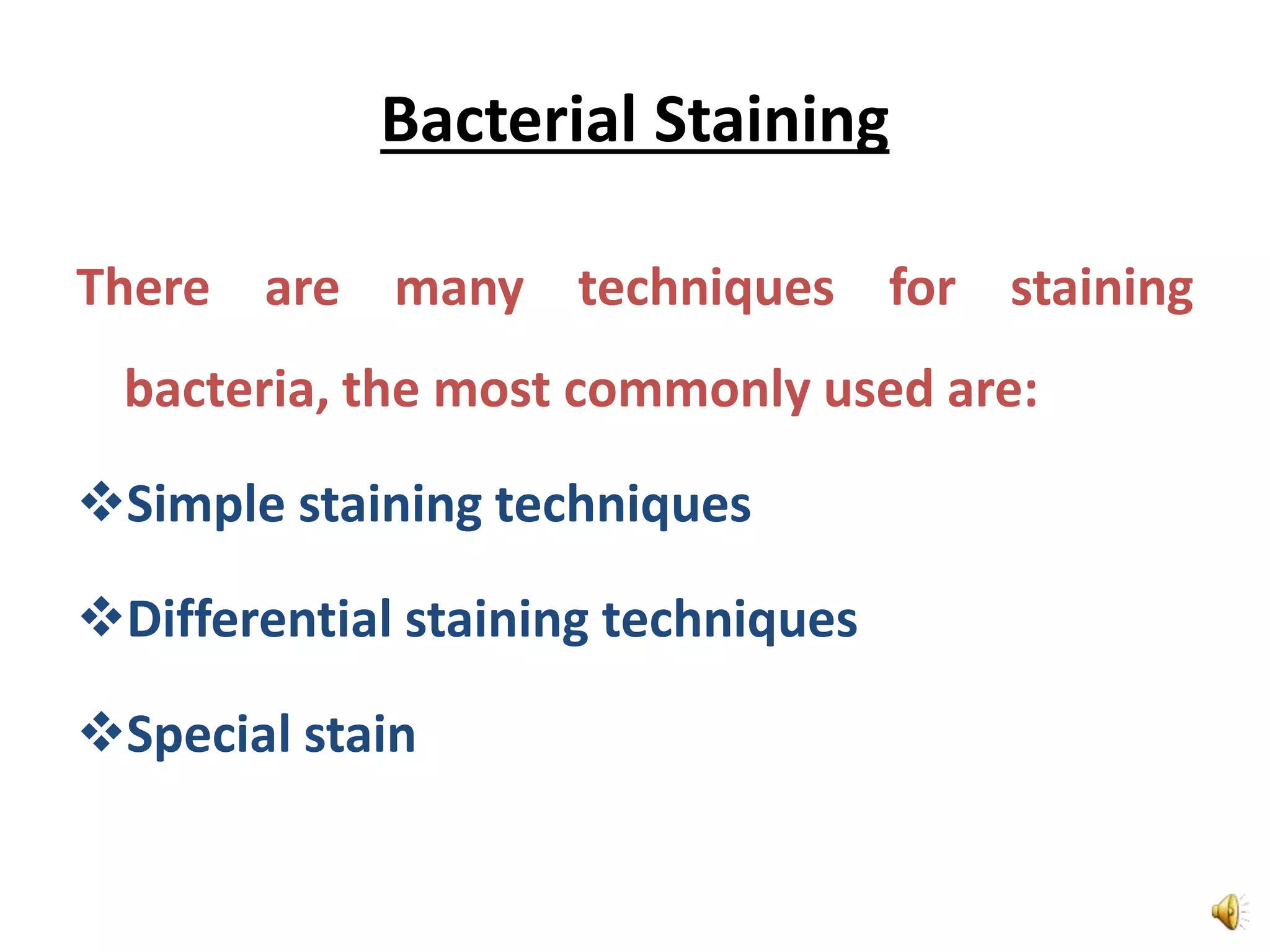 bacterial-staining.pptx