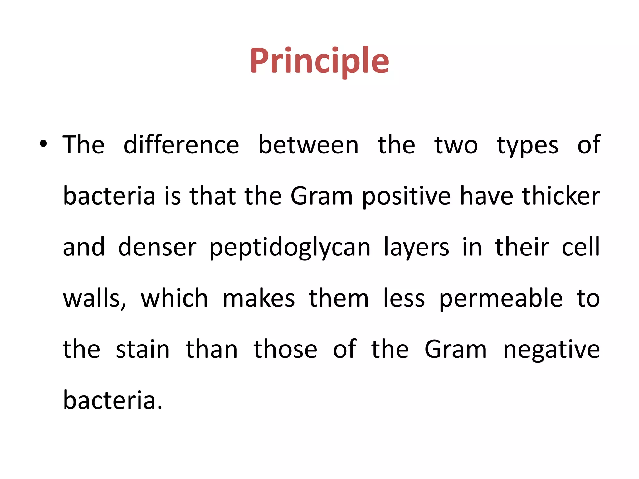 bacterial-staining.pptx