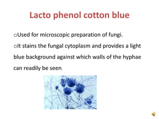 bacterial-staining.pptx