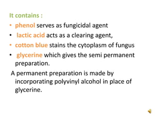 bacterial-staining.pptx