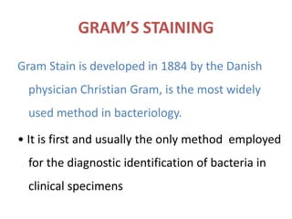 bacterial-staining.pptx