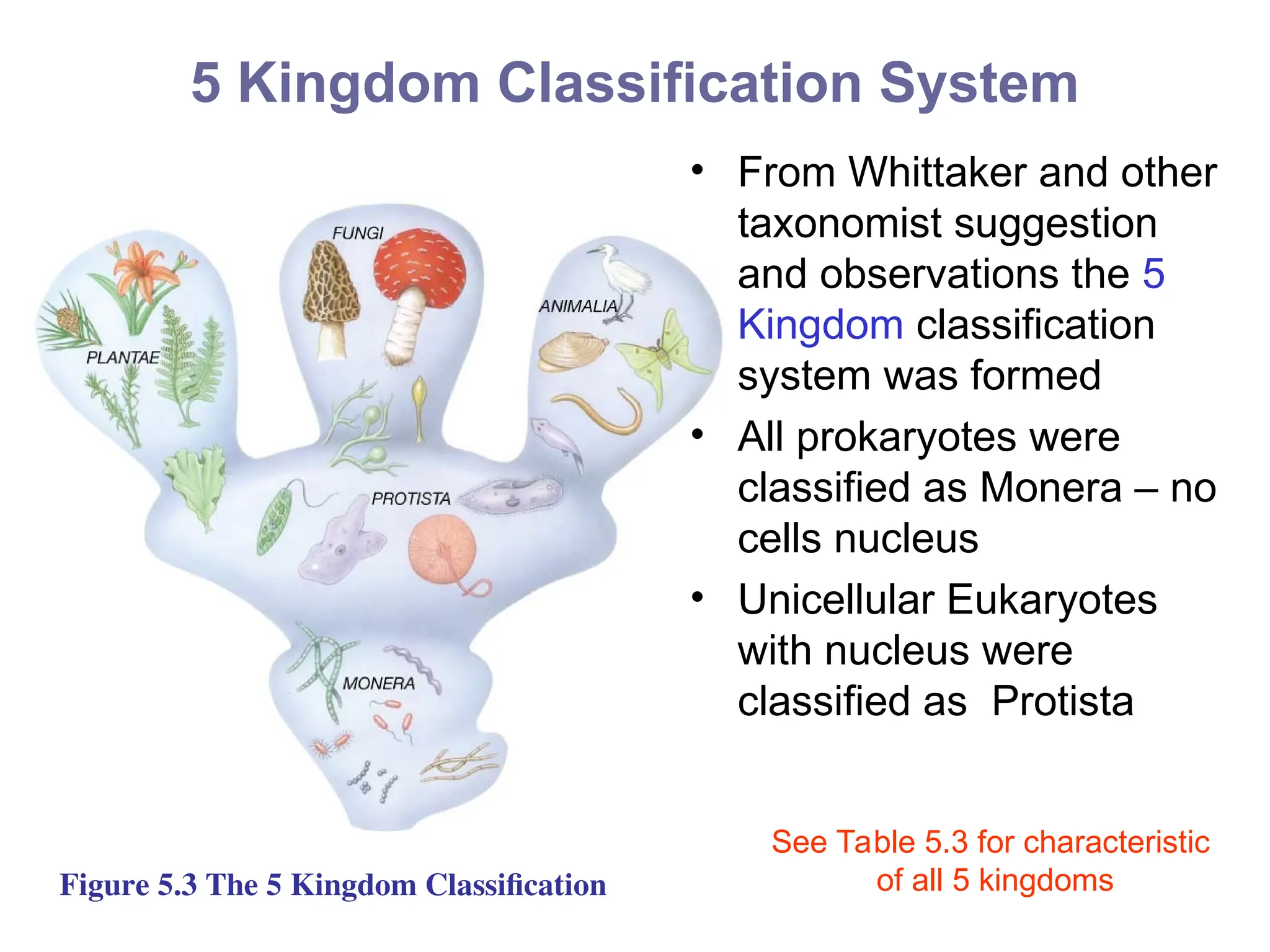 Bacteria taxonomy epidemiology morphology | PPT