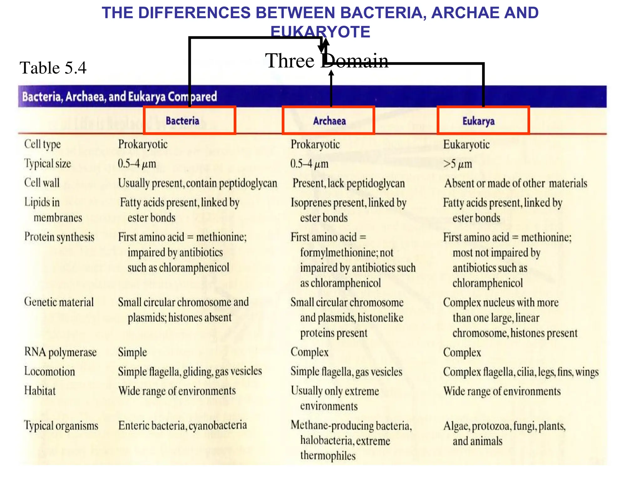 Bacteria taxonomy epidemiology morphology | PPT