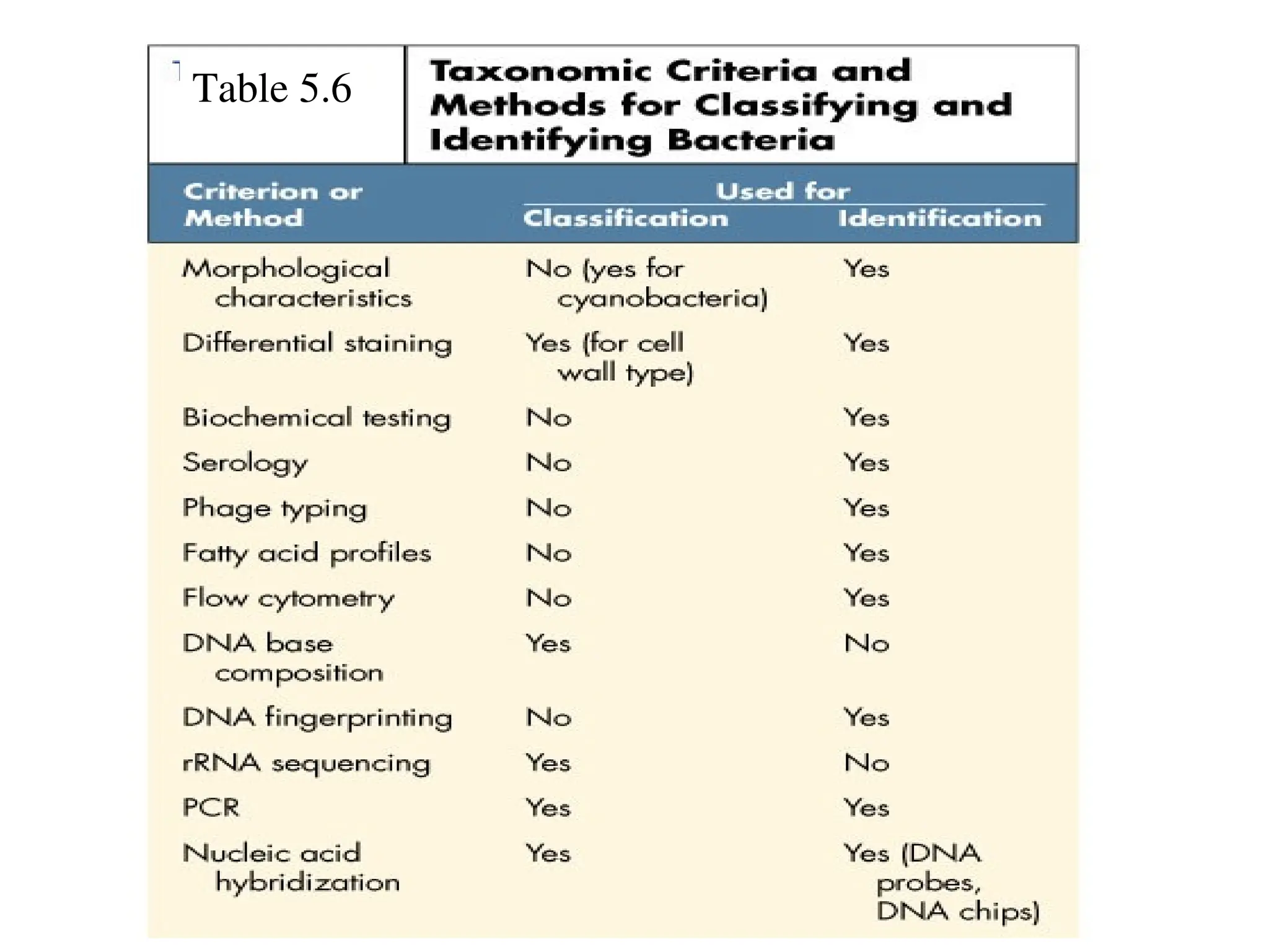 Bacteria taxonomy epidemiology morphology | PPT