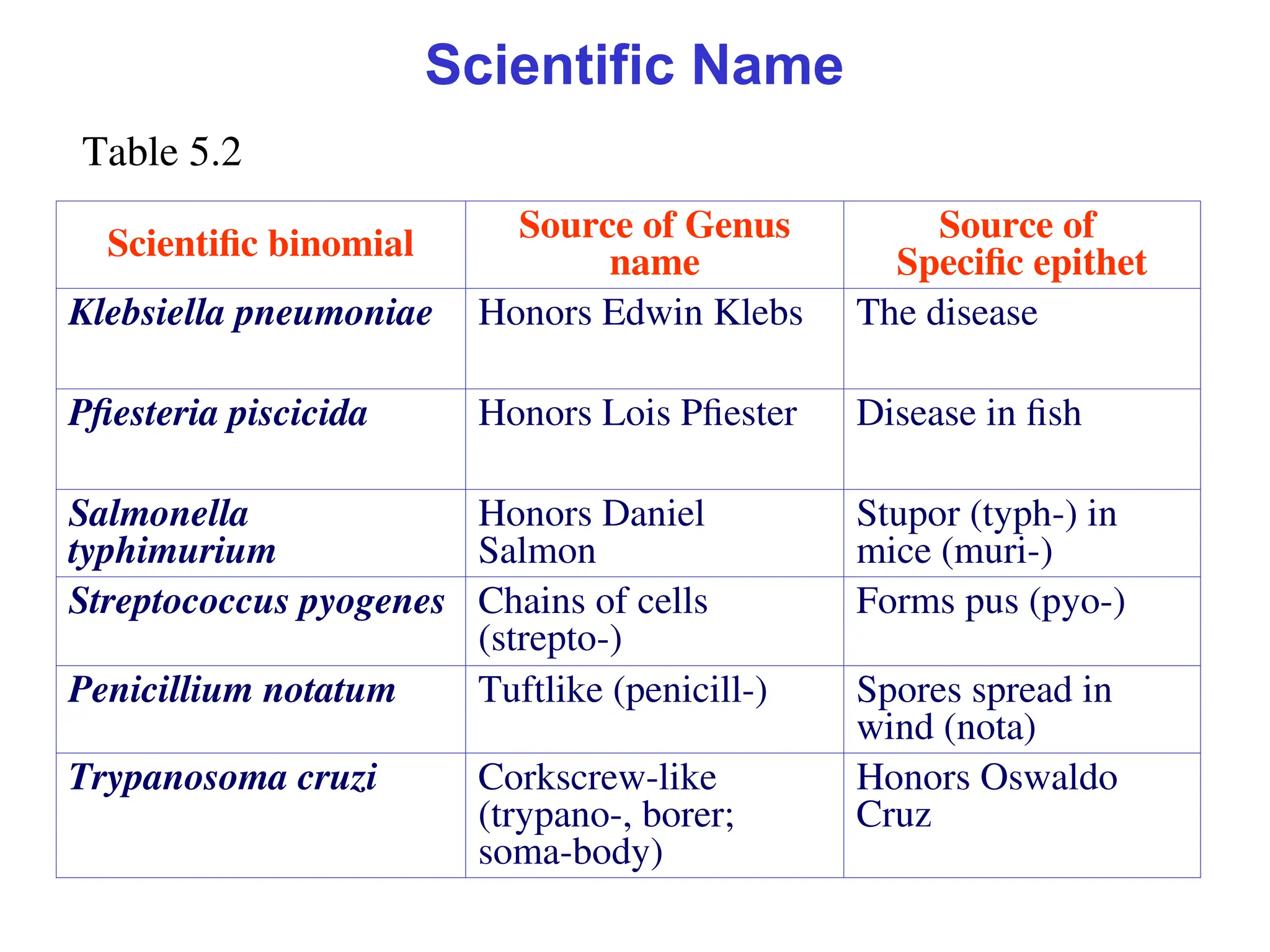 Bacteria taxonomy epidemiology morphology | PPT