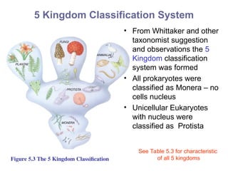 Bacteria taxonomy epidemiology morphology | PPT