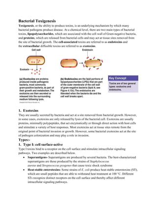 Bacterial-Toxigenesis.docx