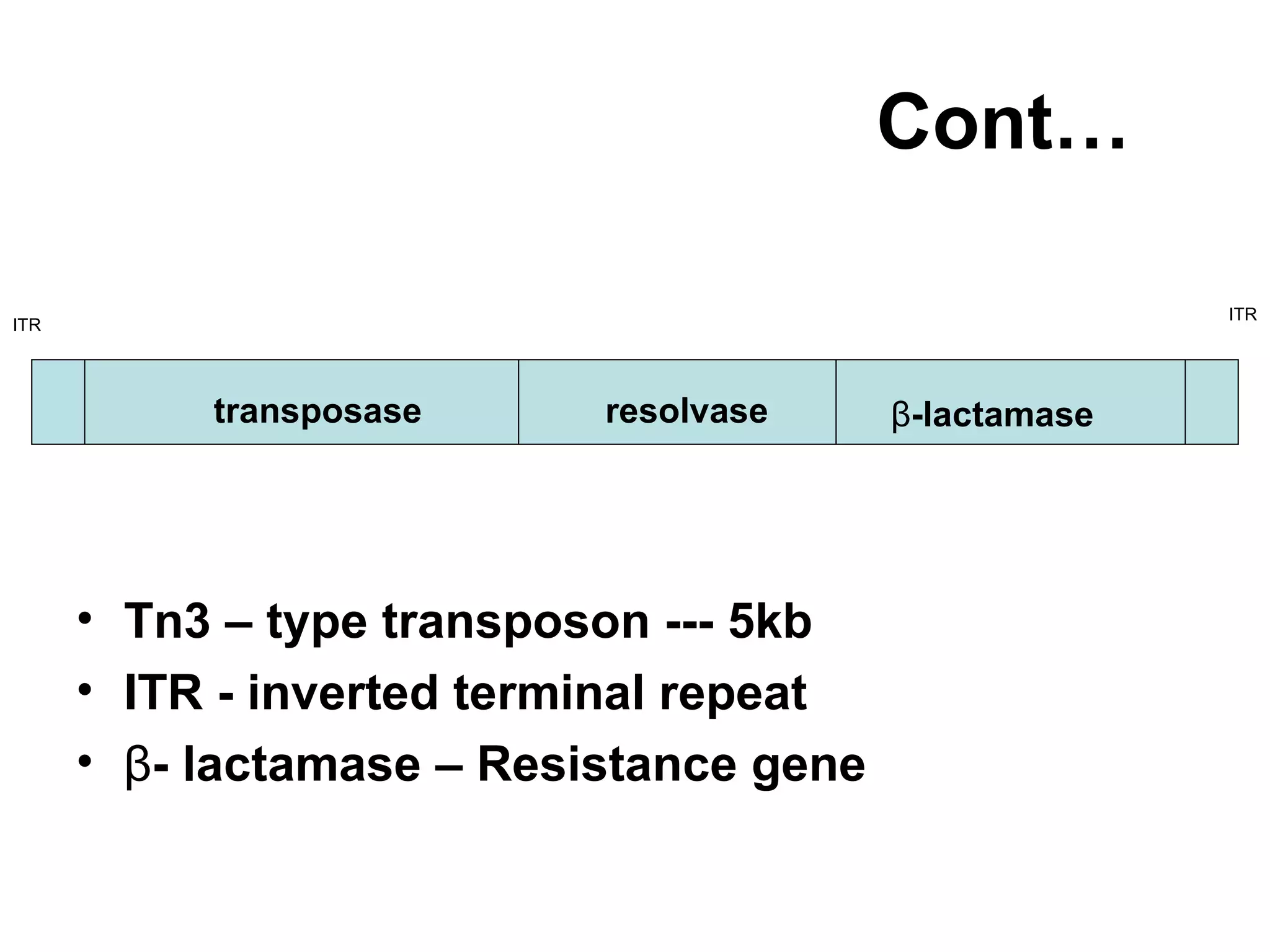 Bacterial Transposons | PPT