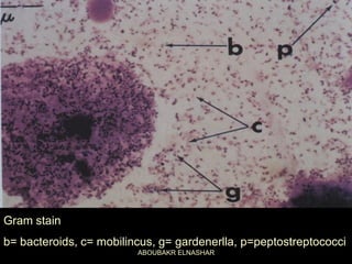 Bacterial Vaginosis Slide