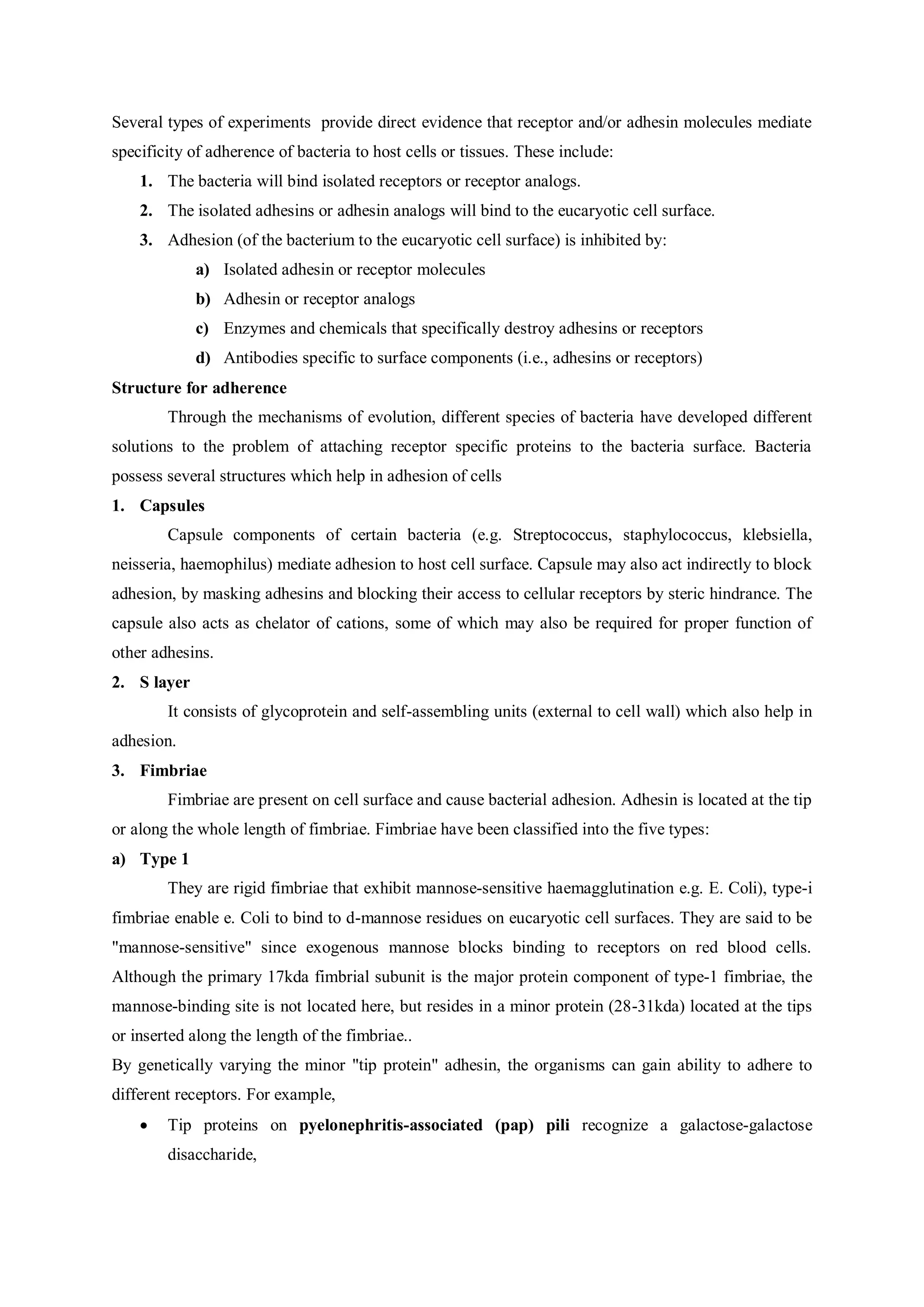 bacterial_adhesion.pdf
