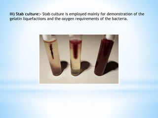 Bacterial aerobial culture techniques ppt | PPTX | Science