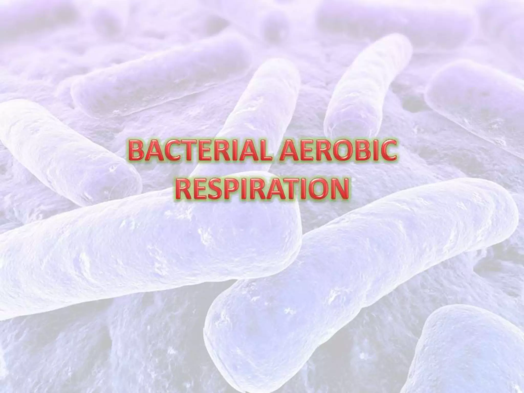 Bacterial aerobic respiration | PPTX