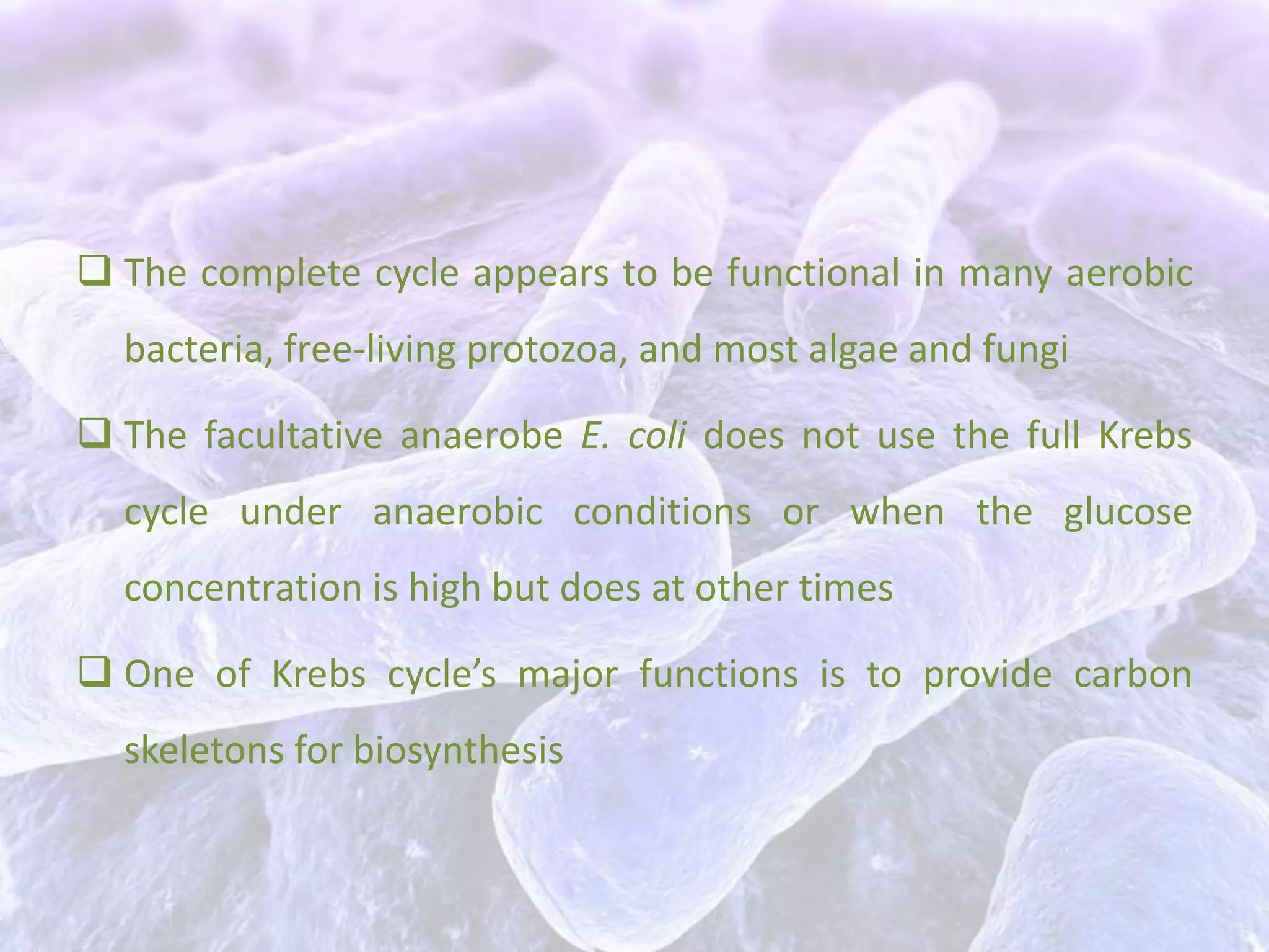 Bacterial aerobic respiration | PPTX