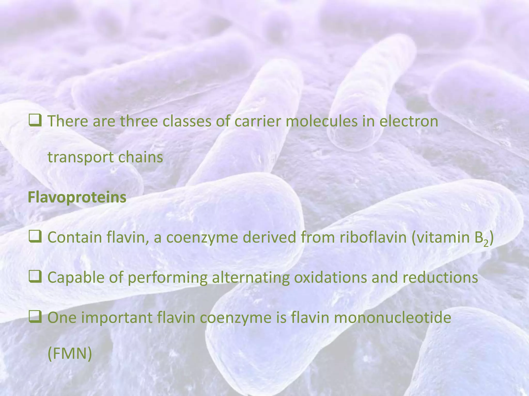 Bacterial aerobic respiration | PPTX