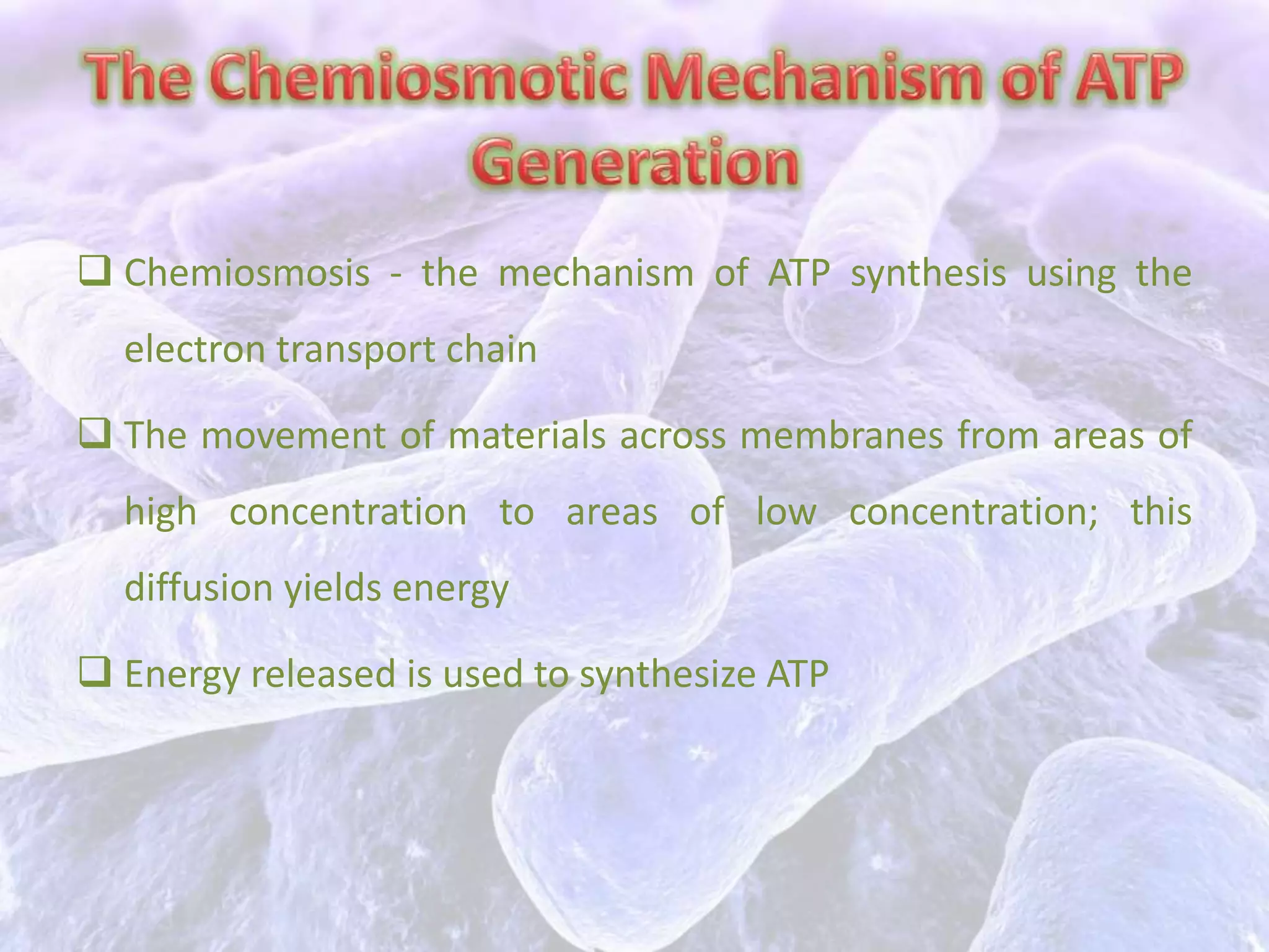 Bacterial aerobic respiration | PPTX
