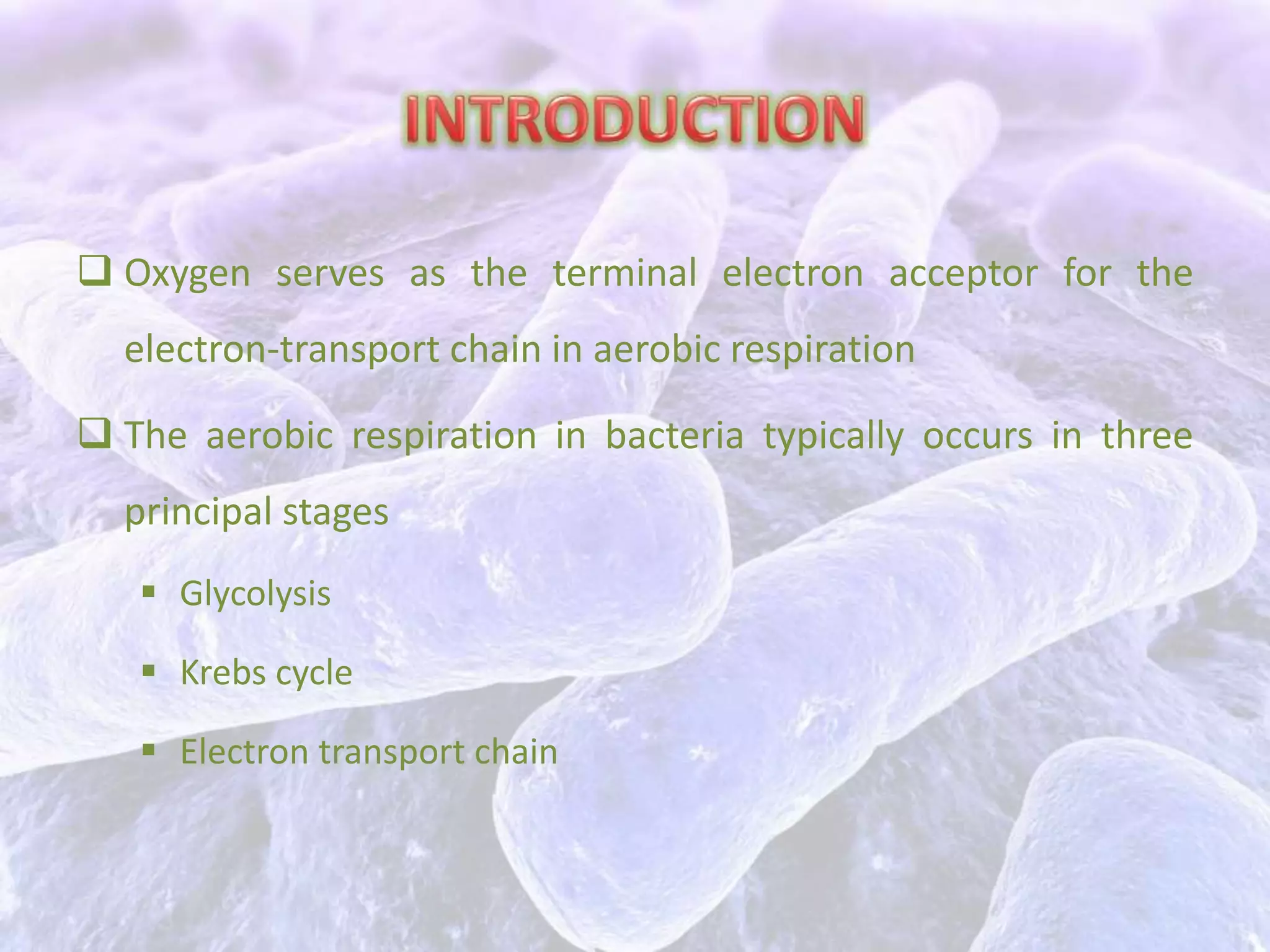 Bacterial aerobic respiration | PPTX