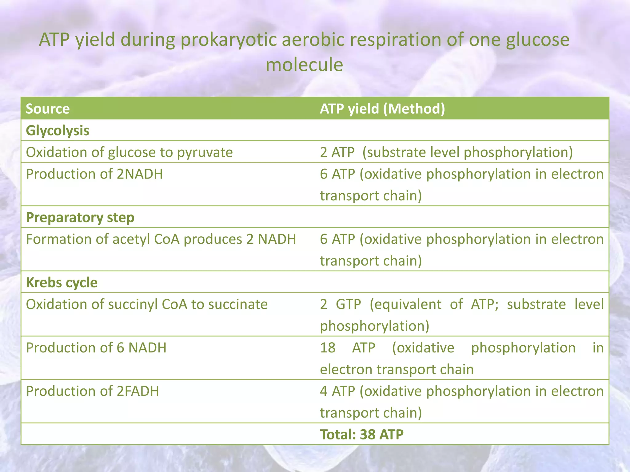 Bacterial aerobic respiration | PPTX