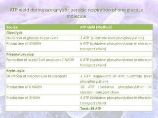Bacterial aerobic respiration | PPTX