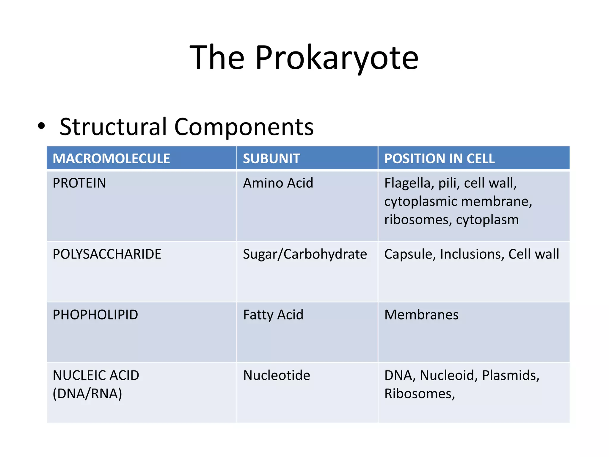 Bacterial Cell Structure by Dr. Shireen Rafiq | PPTX