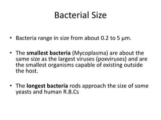 Bacterial Cell Structure by Dr. Shireen Rafiq | PPT