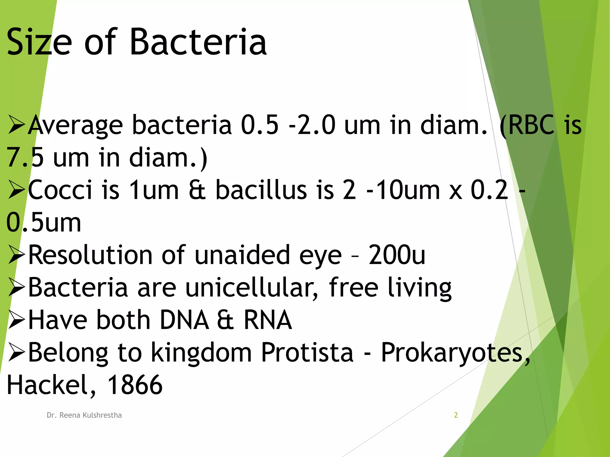 Bacterial anatomy | PPTX