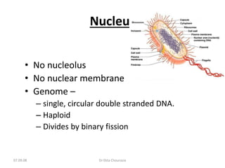 Bacterial anatomy and its component | PPT