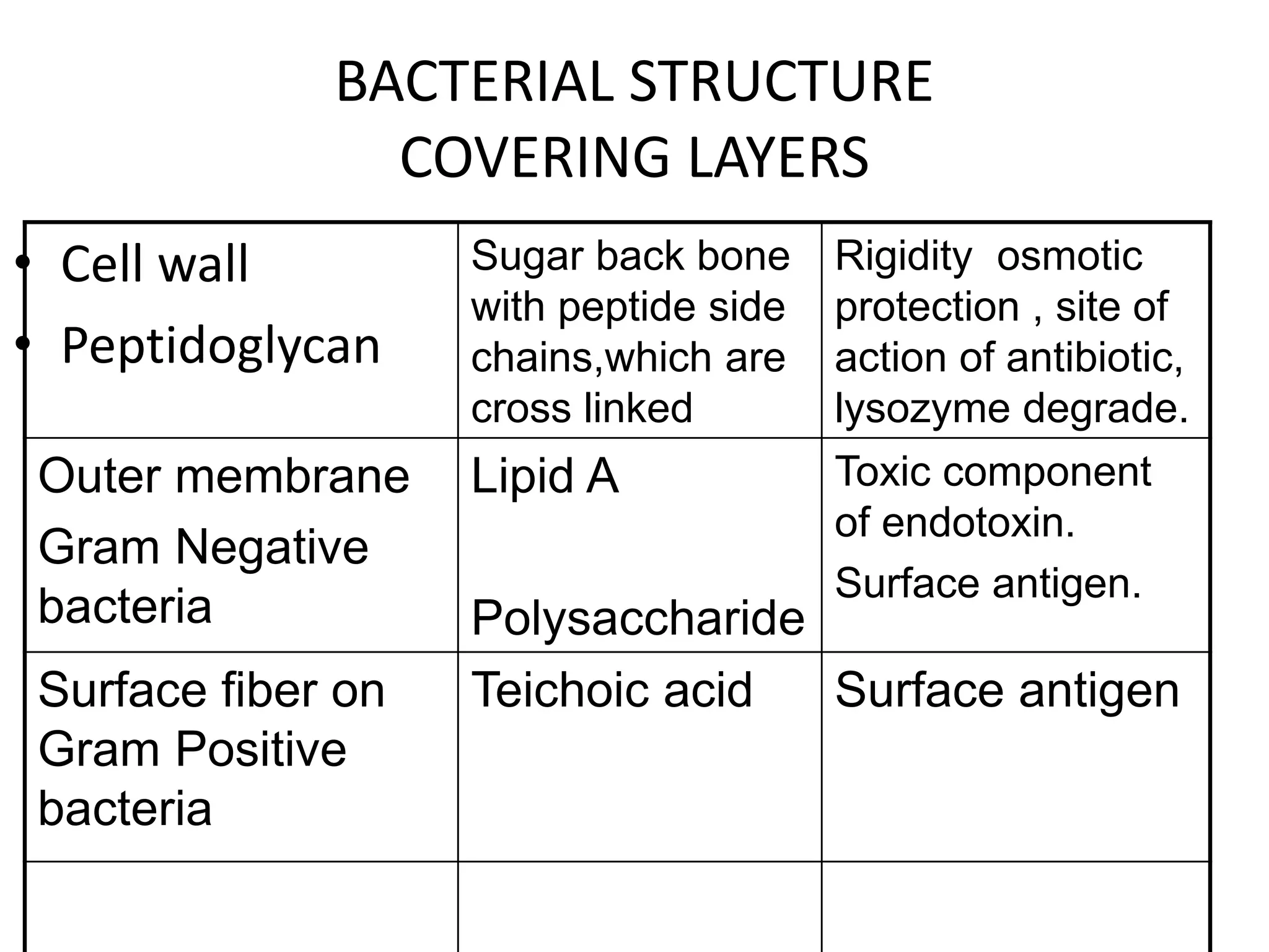 bacterial cell structure and anatomy in bacteriology book | PPTX
