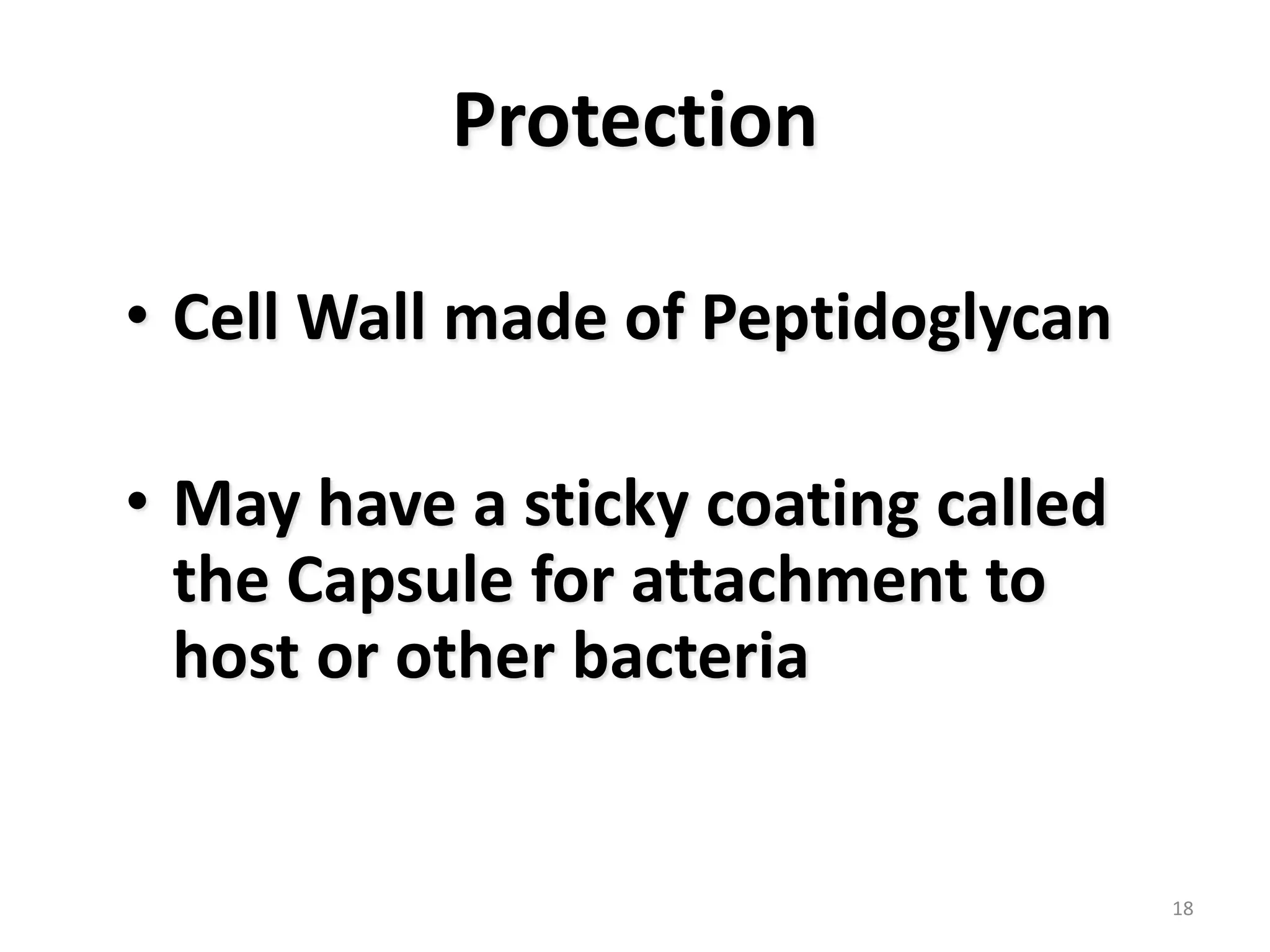 bacterial cell structure and anatomy in bacteriology book | PPTX