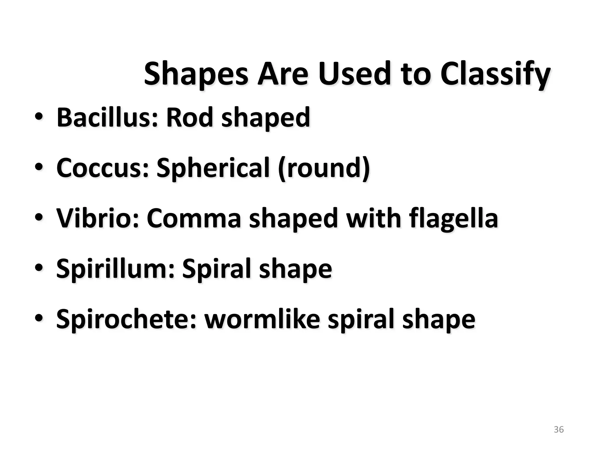 bacterial cell structure and anatomy in bacteriology book | PPTX