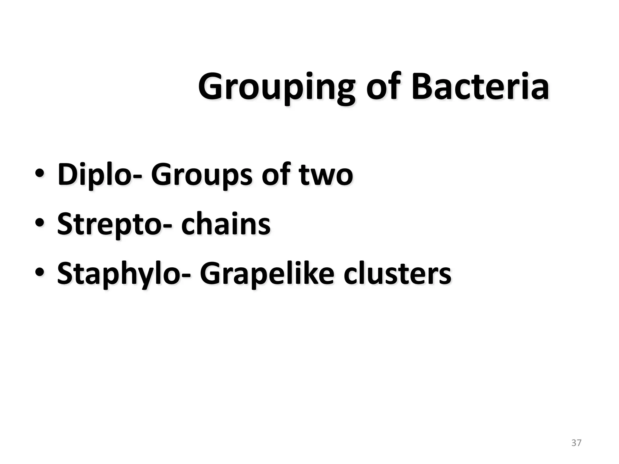 bacterial cell structure and anatomy in bacteriology book | PPTX