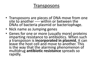 bacterial cell structure and anatomy in bacteriology book | PPT