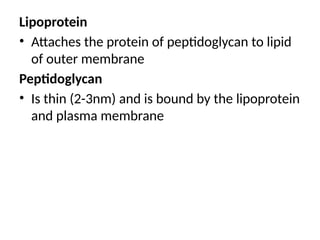 BACTERIAL ANATOMY.pptx bacterial structure | PPTX