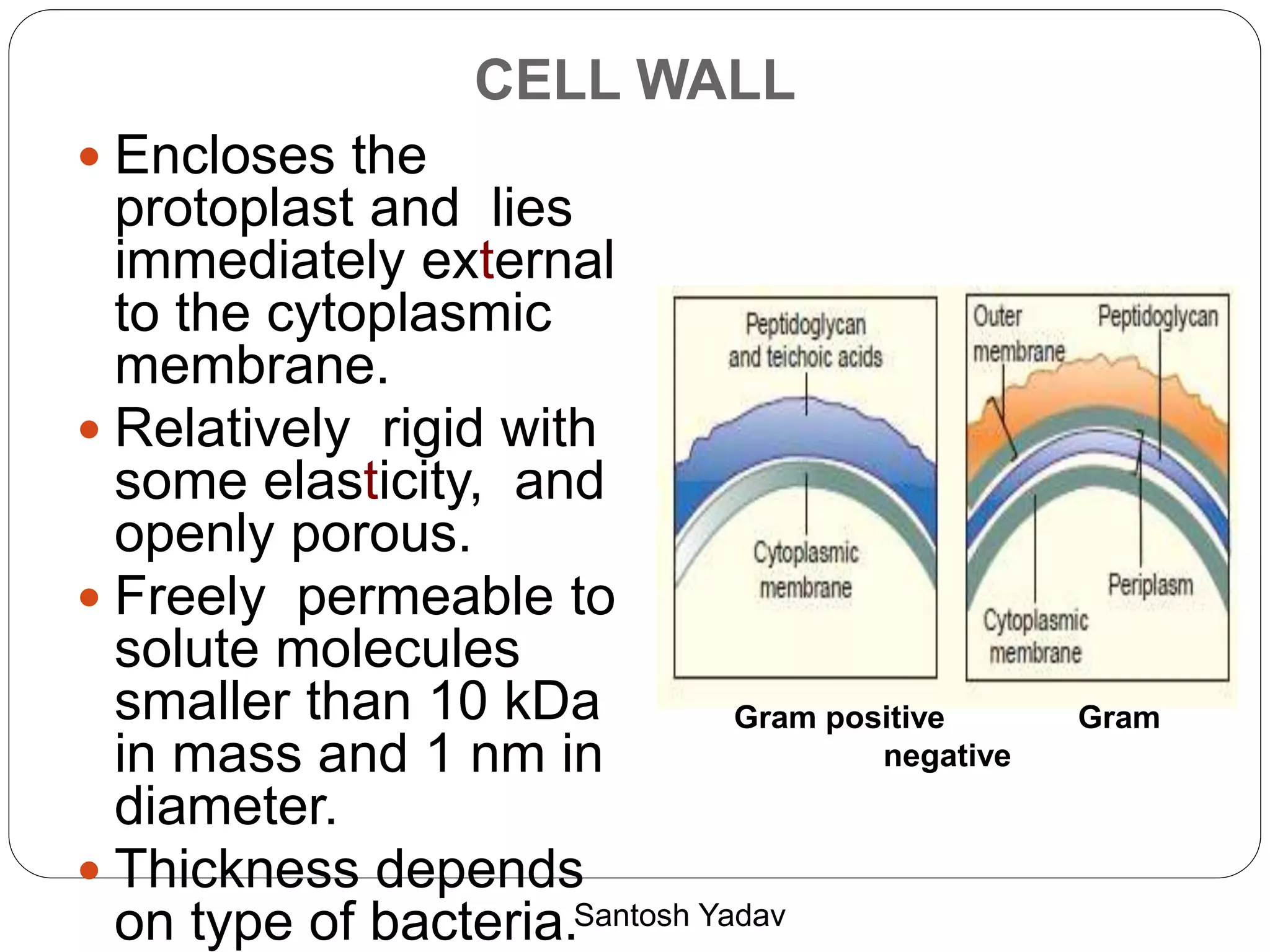 bacterialanatomyphysiologygrowthnutritionmetabolismtoxinandbacteriocin ...