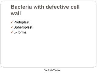bacterialanatomyphysiologygrowthnutritionmetabolismtoxinandbacteriocin ...