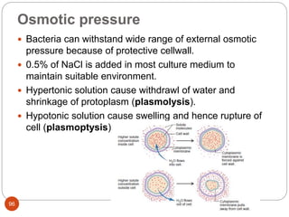 bacterialanatomyphysiologygrowthnutritionmetabolismtoxinandbacteriocin ...