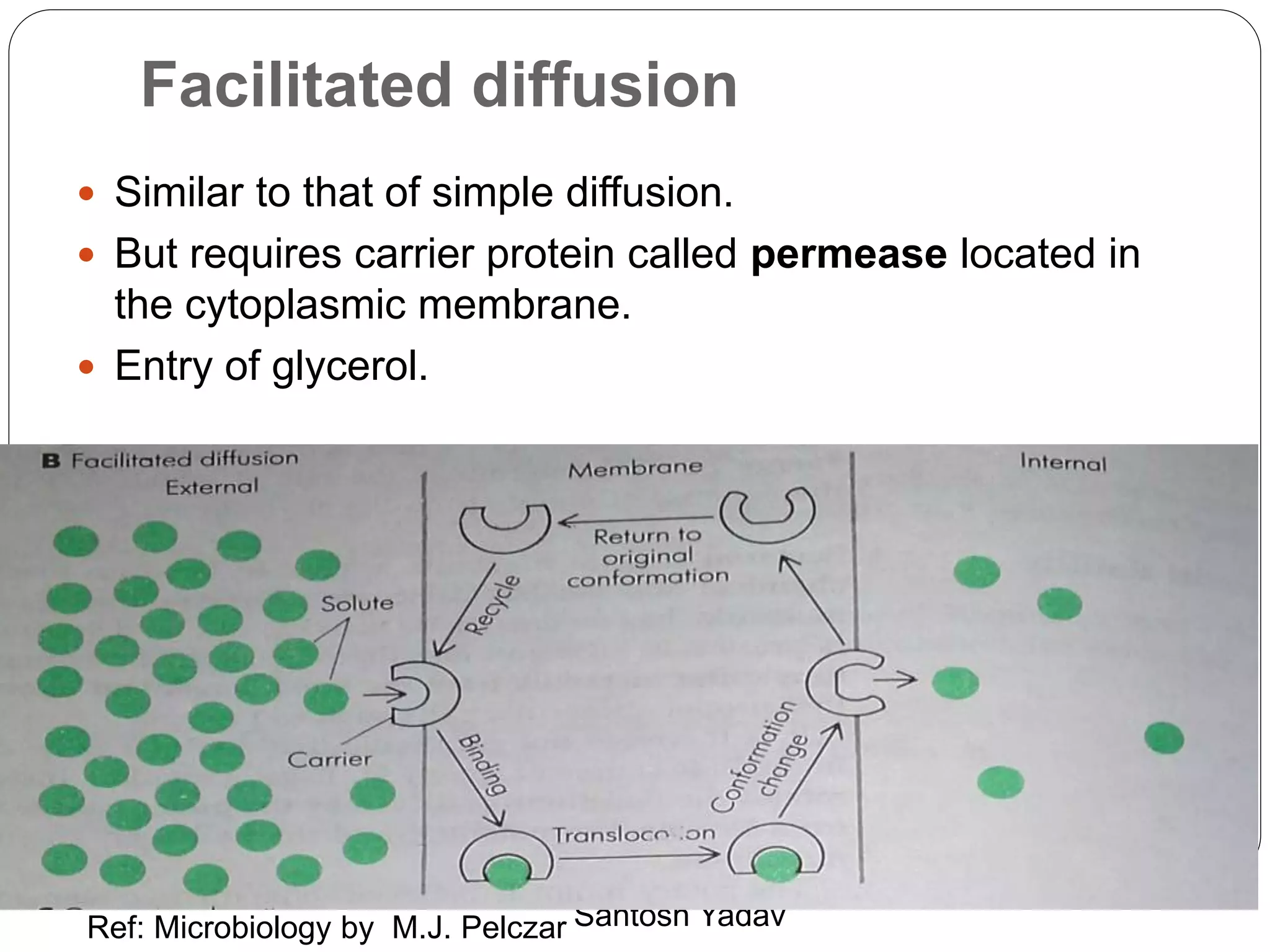 Bacterial anatomy, physiology, growth, nutrition, metabolism, toxin and ...