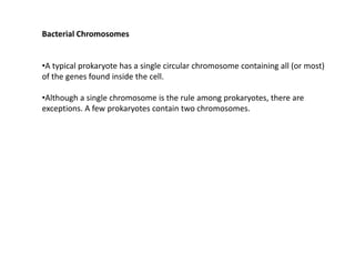 Bacterial and viral chromosomes | PPTX