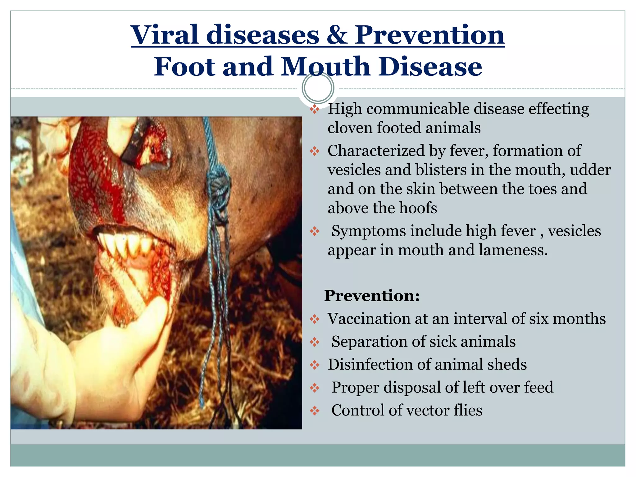 Bacterial and viral diseases converted | PDF