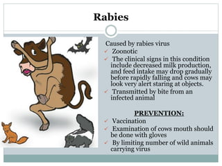 Bacterial and viral diseases converted | PDF