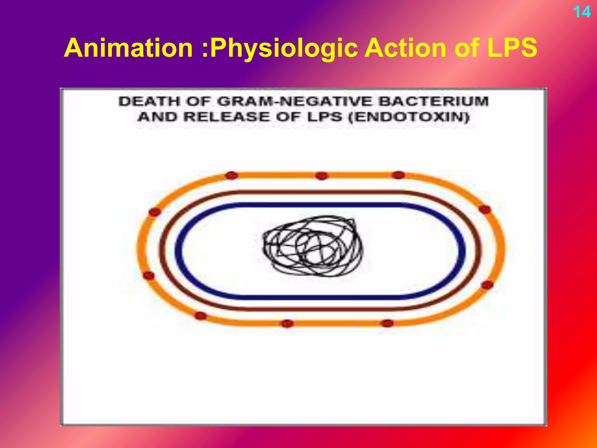 Bacterial animation and management | PPTX