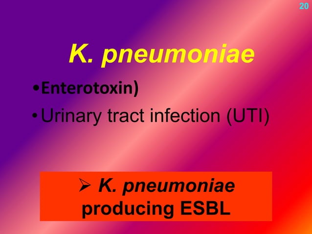 Bacterial animation and management | PPTX | Infectious Diseases ...