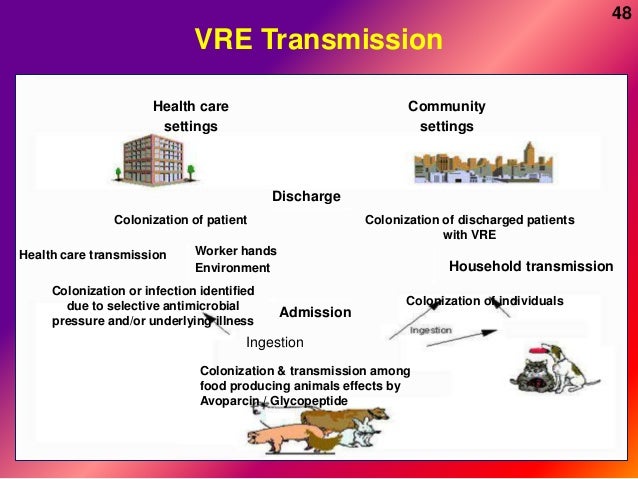 Bacterial animation and management