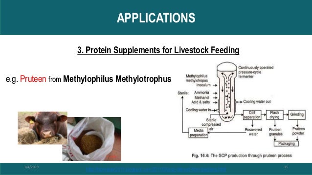 Bacterial biomass
