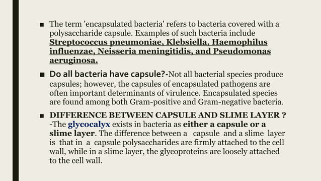 Bacterial capsule | PPTX | Medical Health