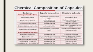 Bacterial capsule | PPTX