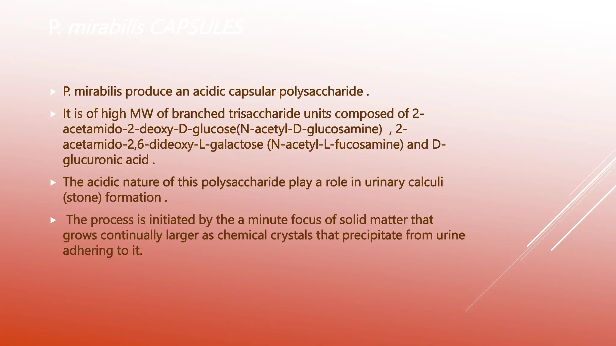 Bacterial Capsules: Introduction, Examples and Functions | PPTX