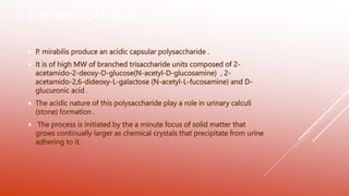 Bacterial Capsules: Introduction, Examples and Functions | PPTX